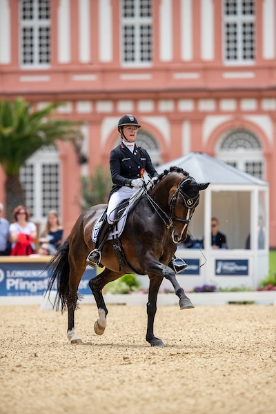 Verden: Junge Talente an der Spitze - Horse-Gate