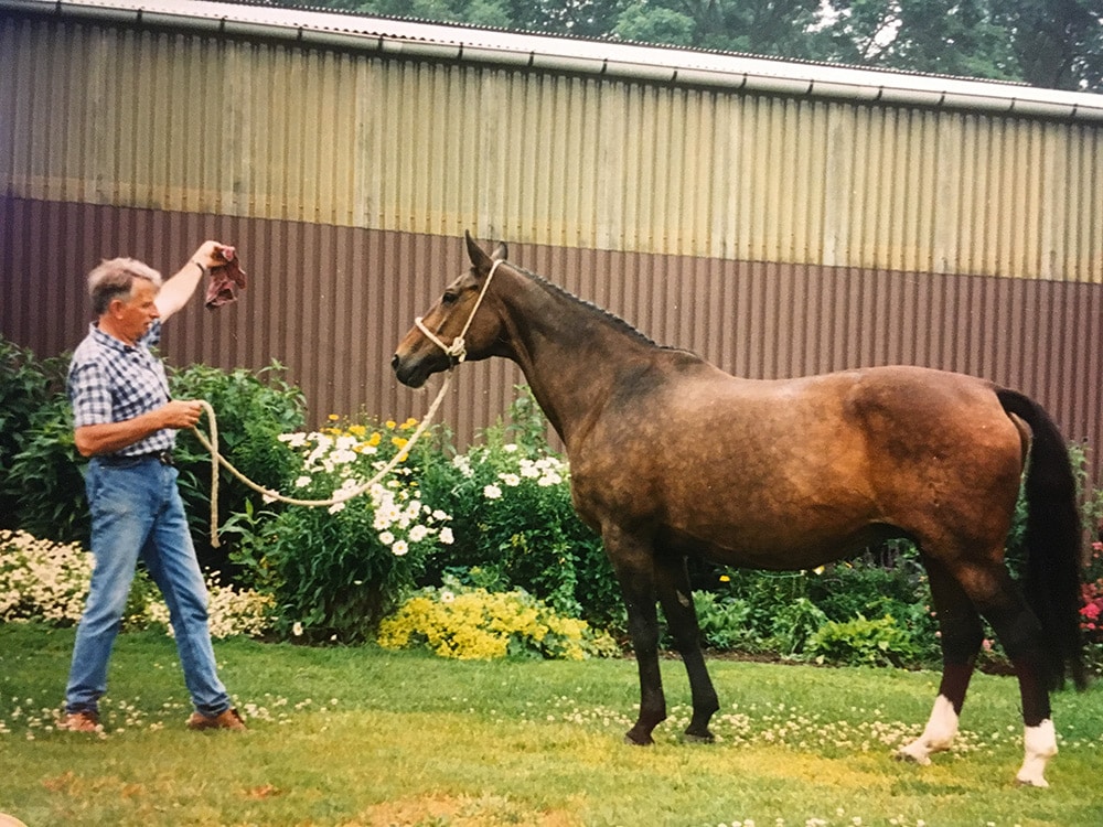 Weltwunder Weltmeyer (Teil 1)