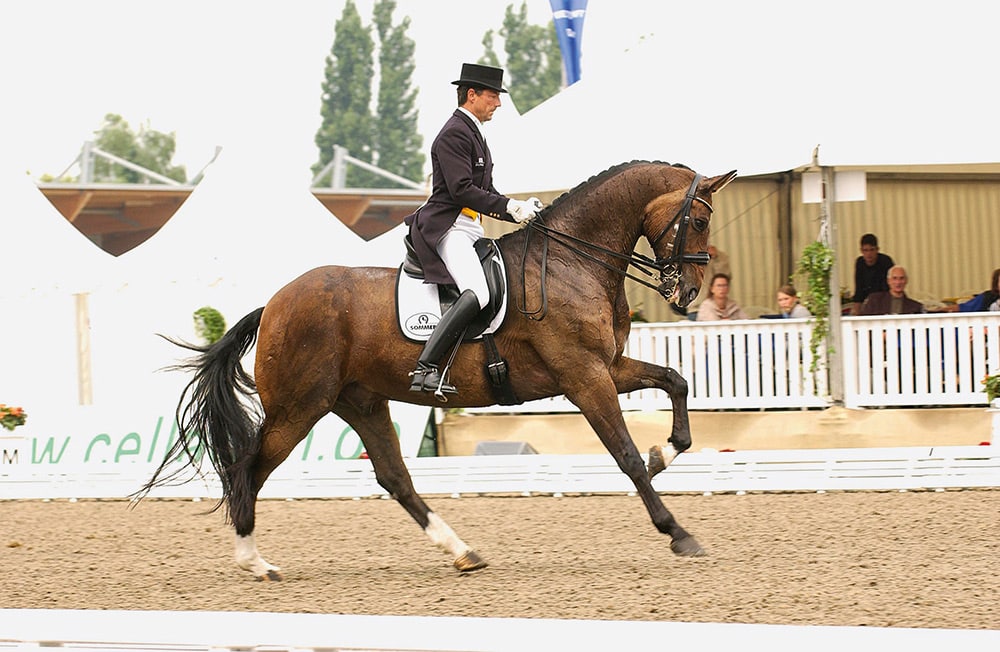 Weltwunder Weltmeyer (Teil 1)