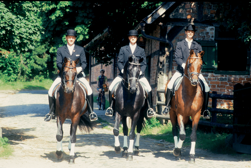 Caprimond – ein wahrer Stempelhengst (Teil 3) - Horse-Gate