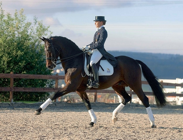 Sandro Hit - schwarz, schön und viele Sünden wert (Teil 1)